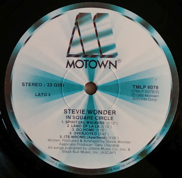 Stevie Wonder In Square Circle
